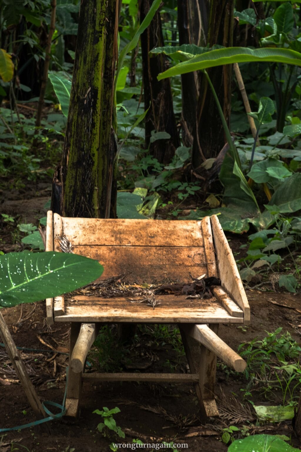 Chagga Tribe: The People of Kilimanjaro
