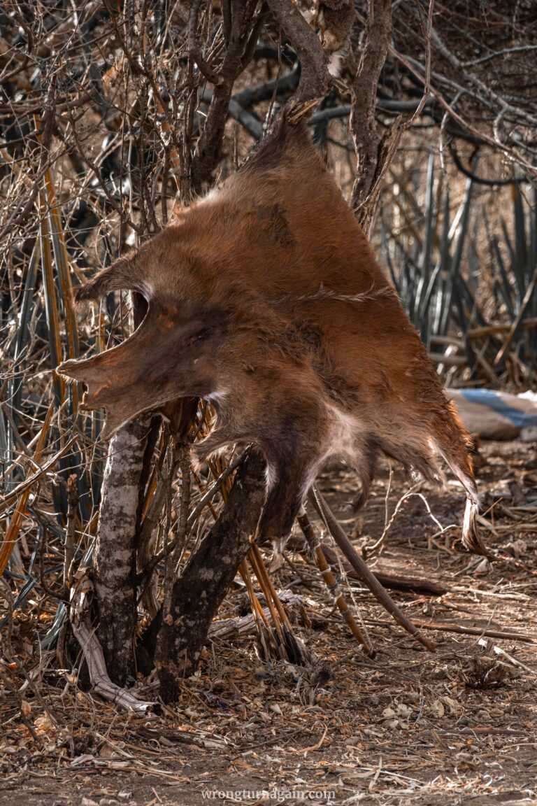 Hadza Tribe: The Last Hunter-Gatherers of East Africa