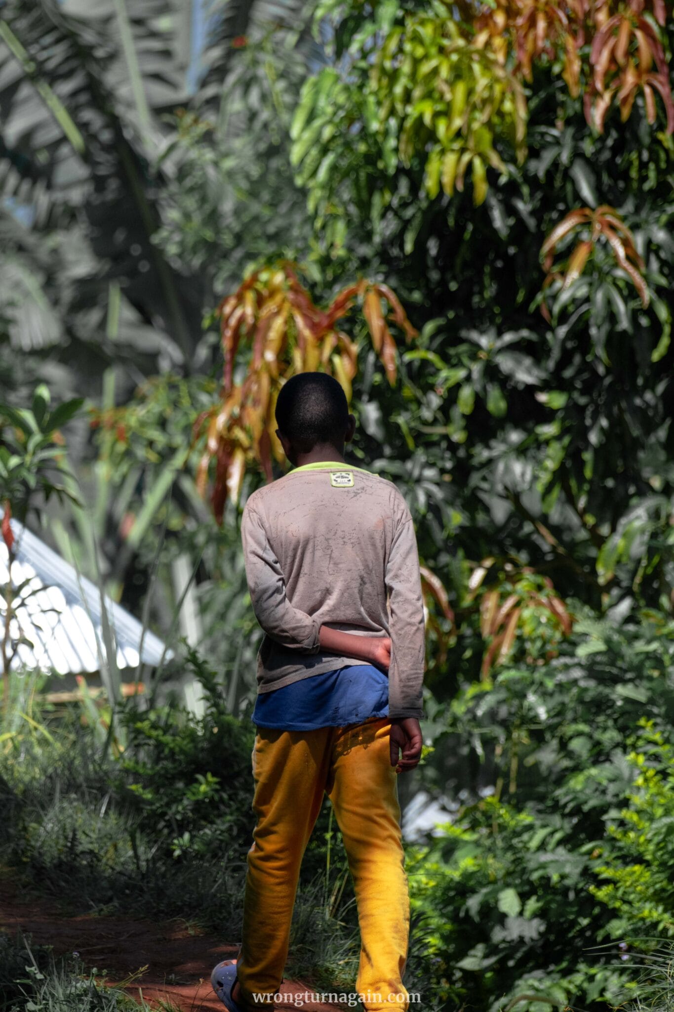 How to Visit the Materuni Waterfall in Tanzania (& Coffee Tour!)