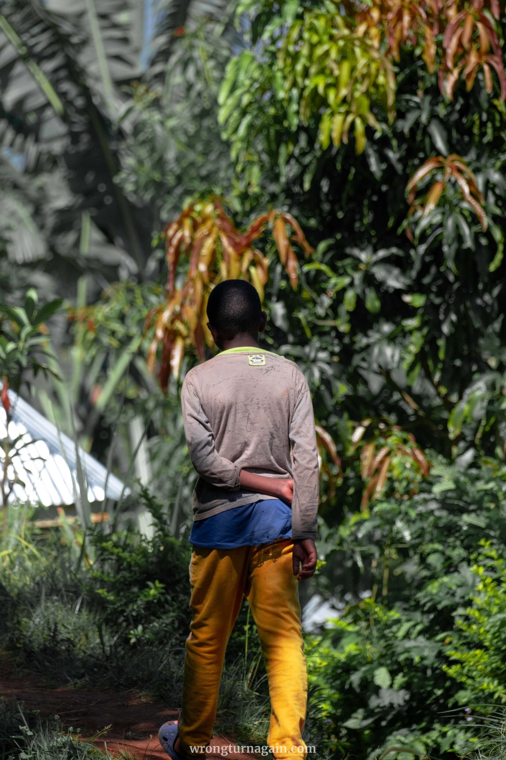 How to Visit the Materuni Waterfall in Tanzania (& Coffee Tour!)